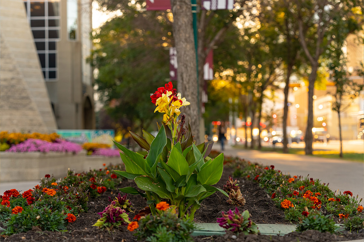 Month in photos: Our best September shots - MacEwan University
