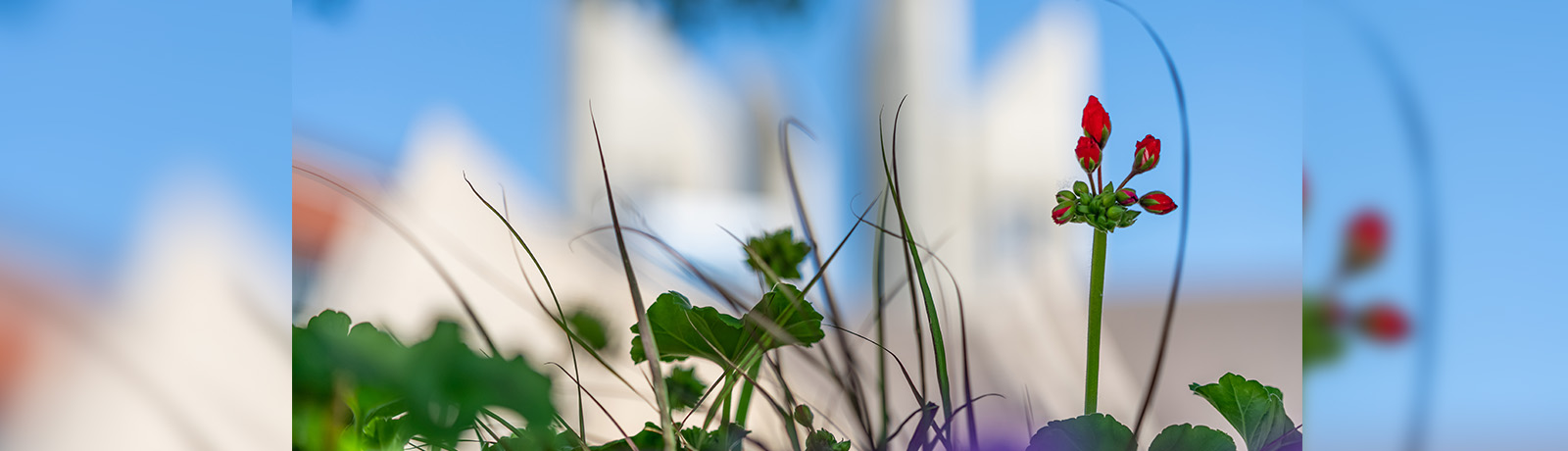 Events to attend on (and off) campus in April - MacEwan University